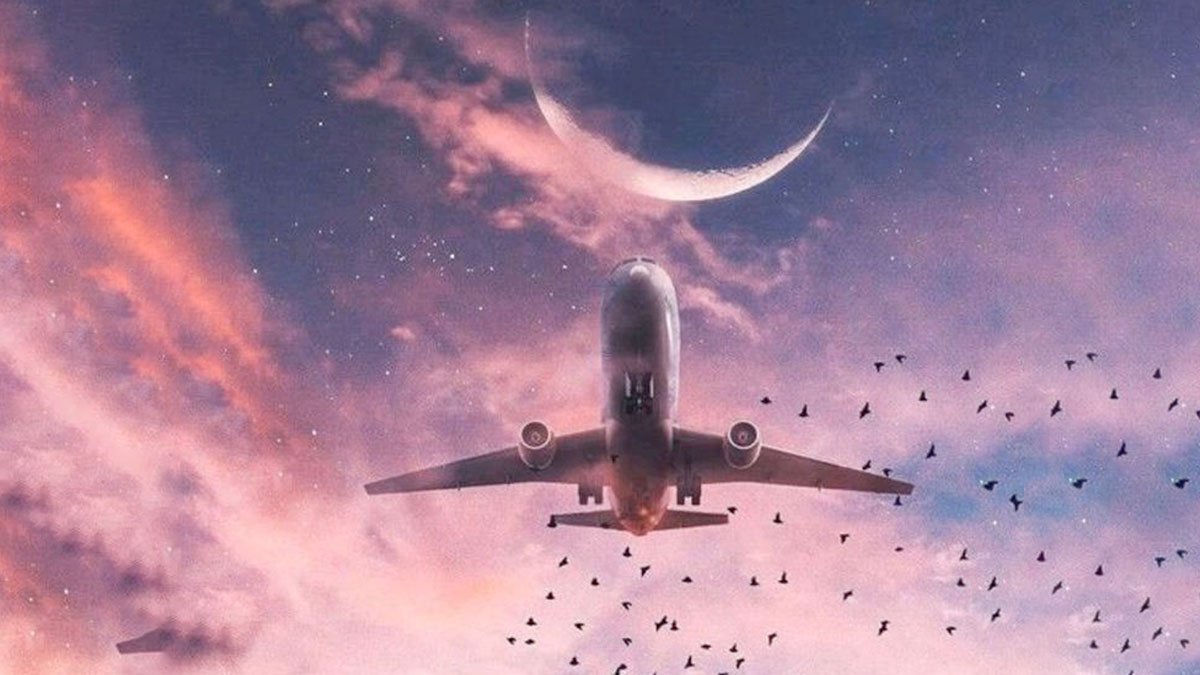 Epic Travels México: Experiencias Épicas | Acerca de nosotros